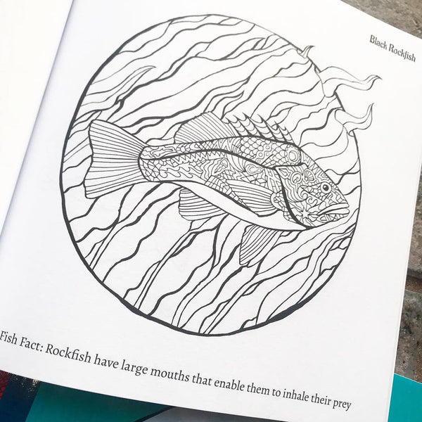 Doodle Fish of Alaska Coloring Book - FJ Creations